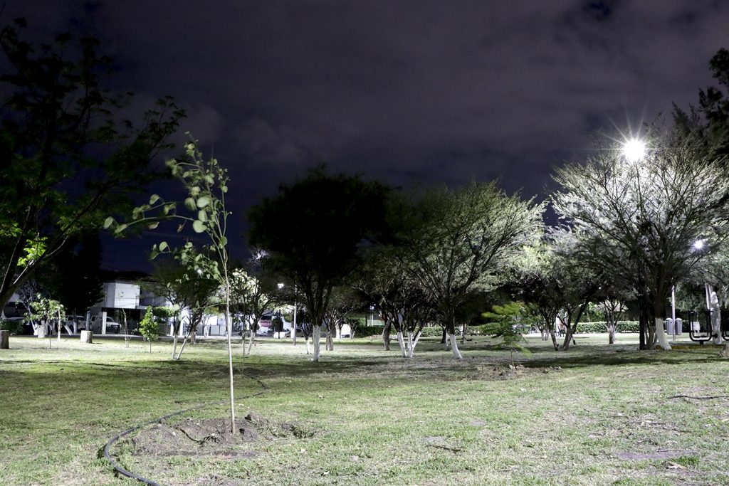 Encienden alumbrado en parque Tejeda